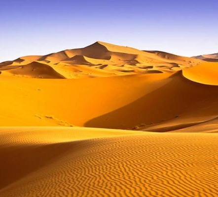 Những điều thú vị về sa mạc Sahara mà bạn chưa biết