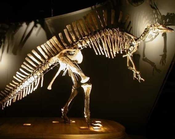 Gadoufaoua là một địa điểm ở sa mạc Ténéré ở Niger, được gọi là nghĩa ...